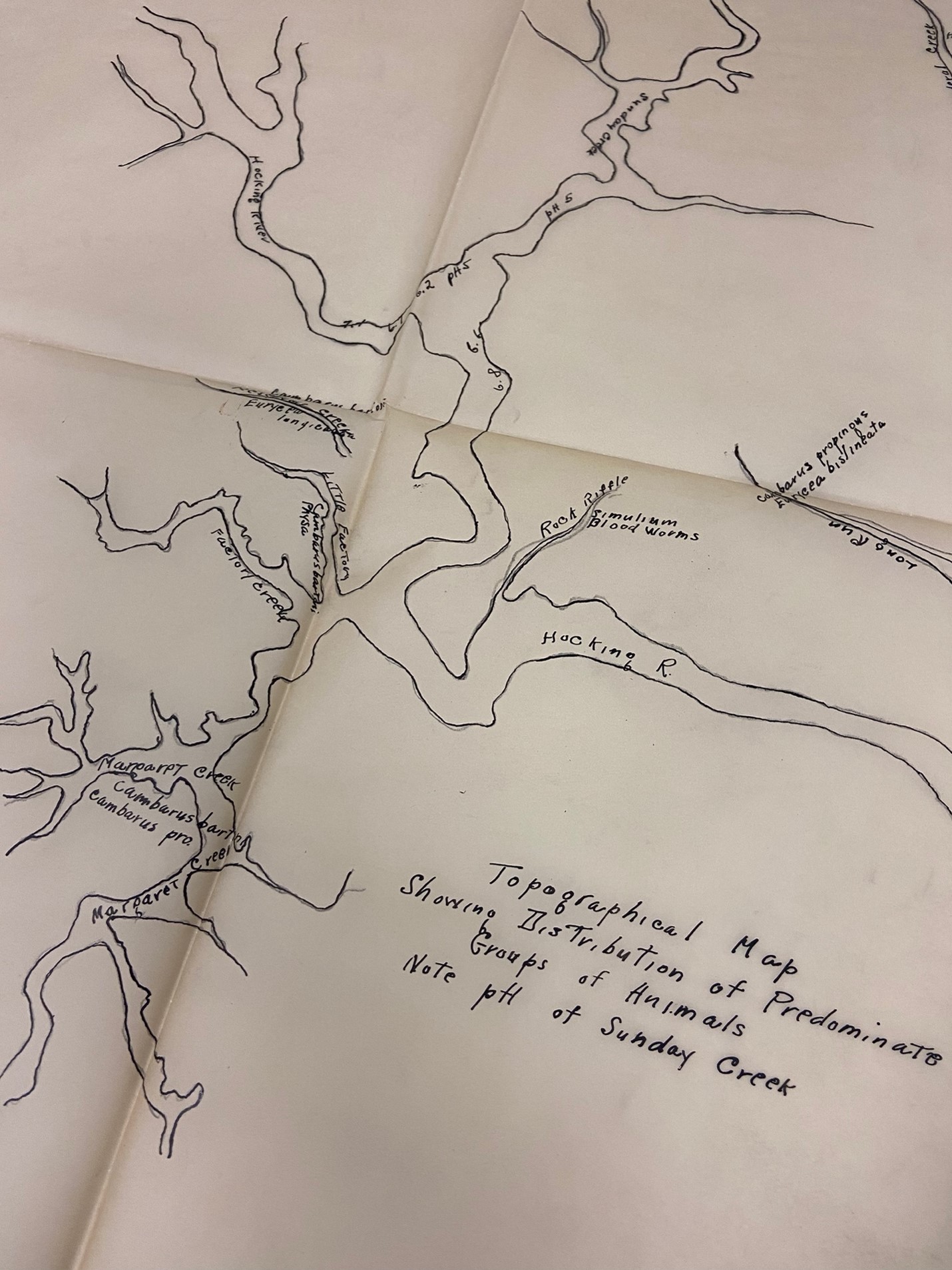 Finding biology in the archives: the Krecker and Romoser collections ...